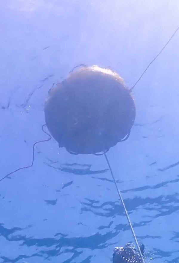 The Best Underwater Air Lift Bags In The World | Carter Lift Bags Inc.